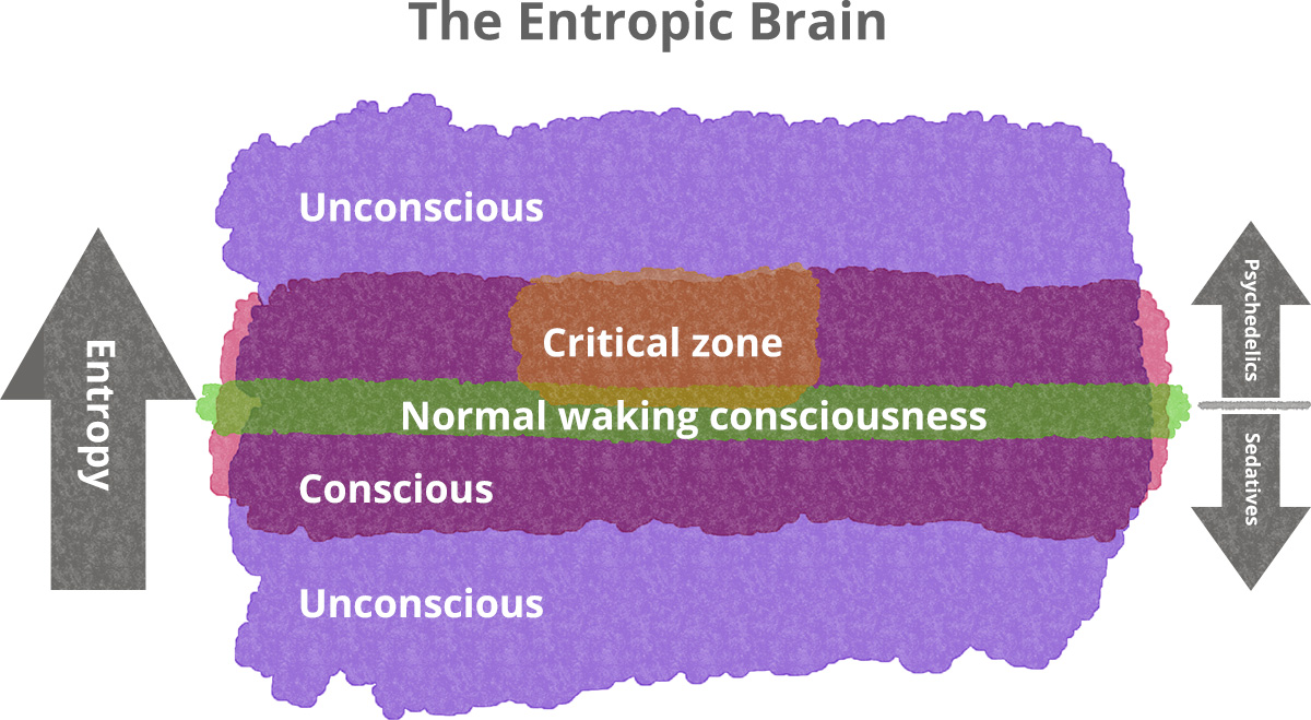 The entropic brain - revisited