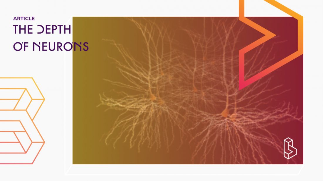 The Depth of Neurons - Blossom