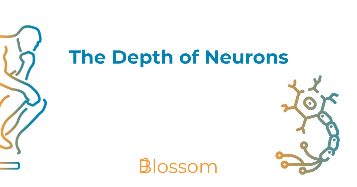 The Depth of Neurons - Blossom