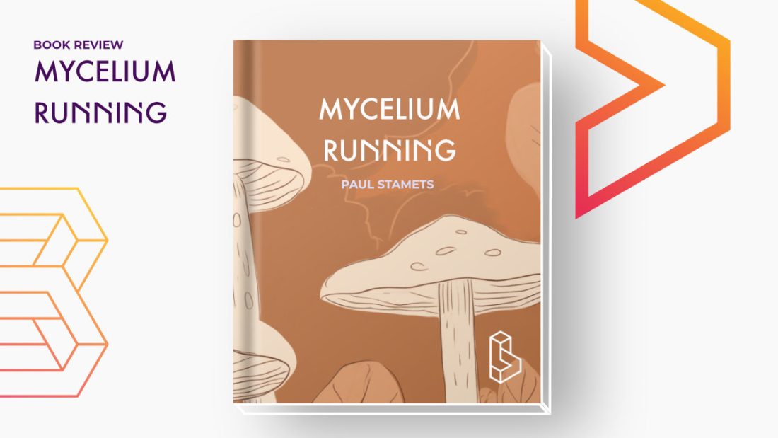 Mycelium Running - Review & Summary