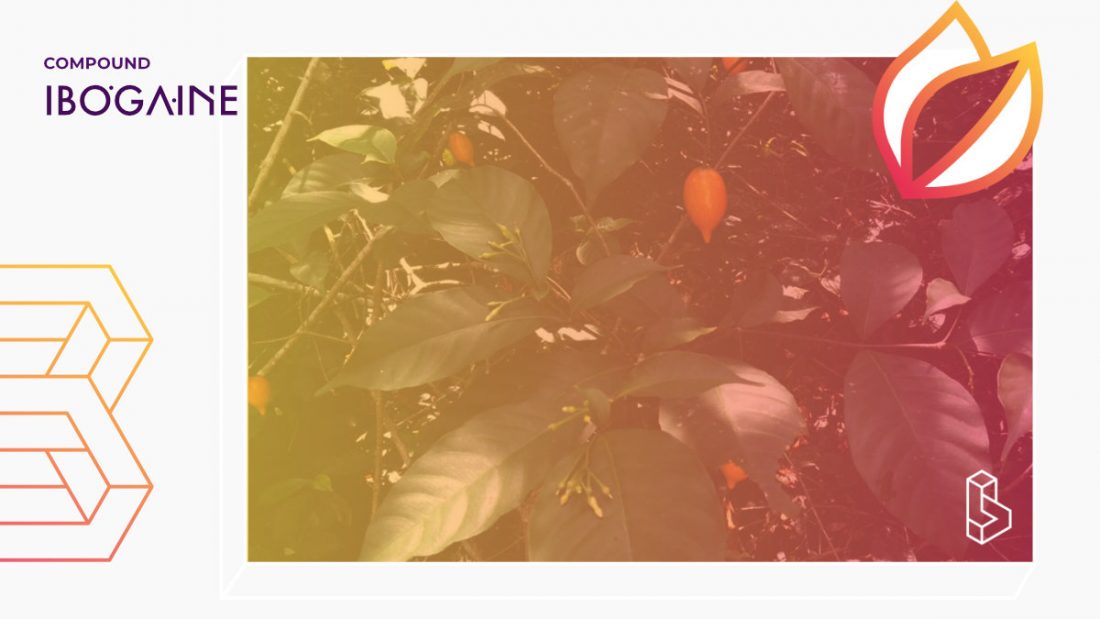 Ibogaine for Mental Health