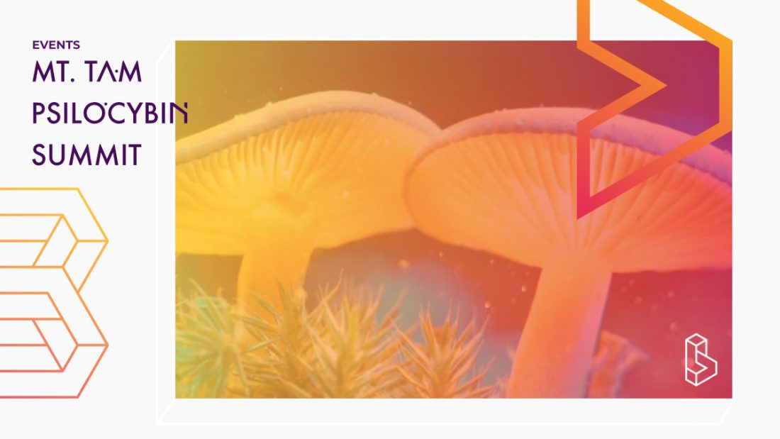 MT. Tam Psilocybin Summit