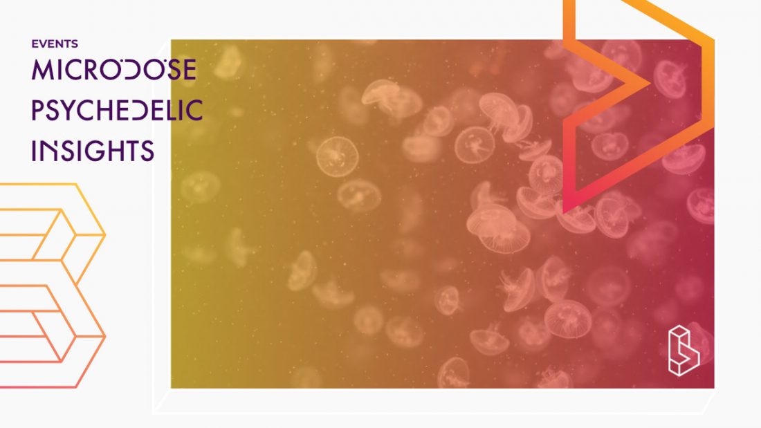 Microdose Psychedelic Insights