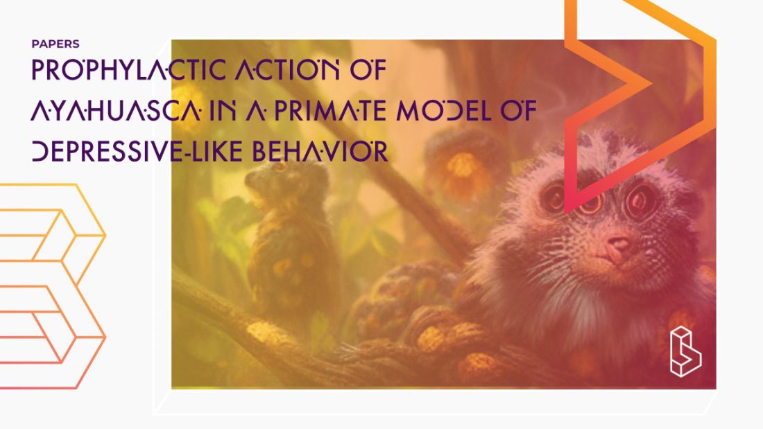 Prophylactic action of ayahuasca in a non-human primate model of ...