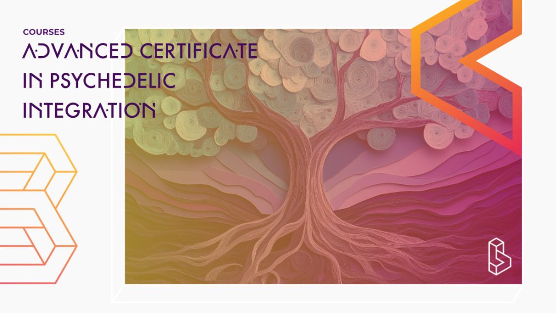 Advanced Certificate In Psychedelic Integration