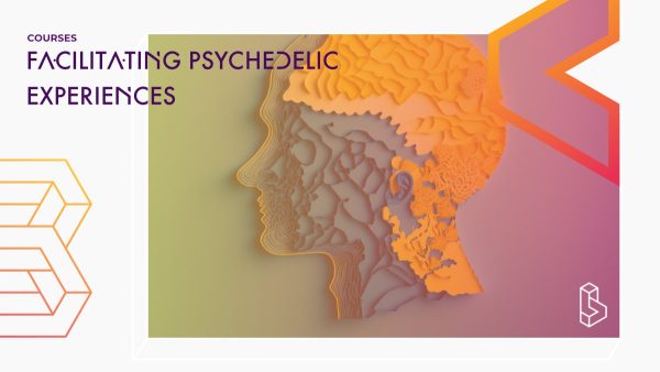 Facilitating Psychedelic Experiences