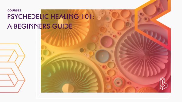 Psychedelic Healing 101 A Beginners Guide
