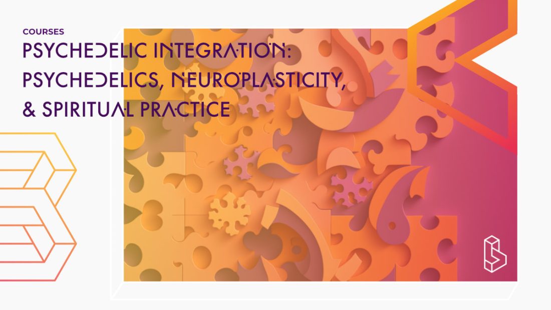 Psychedelic Integration: Psychedelics, Neuroplasticity, and Spiritual ...