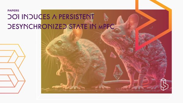 The classic psychedelic DOI induces a persistent desynchronized state ...