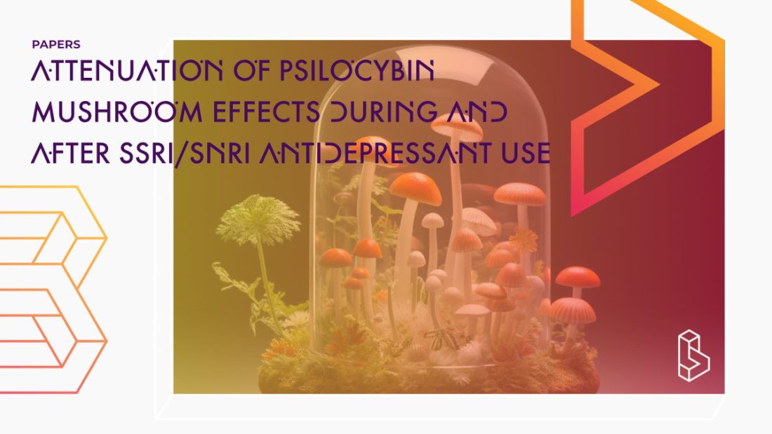 Attenuation of psilocybin mushroom effects during and after SSRI/SNRI ...