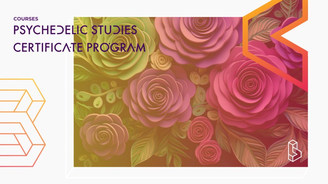 Psychedelic Studies Certificate Program