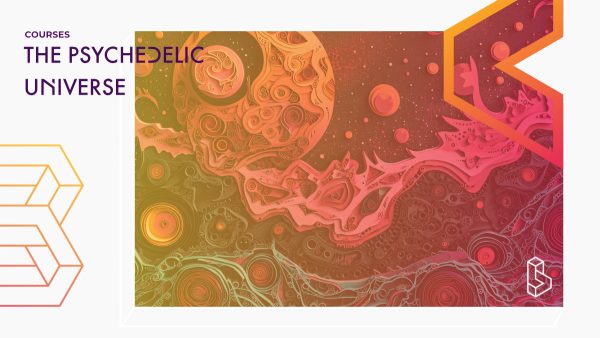 The Psychedelic Universe