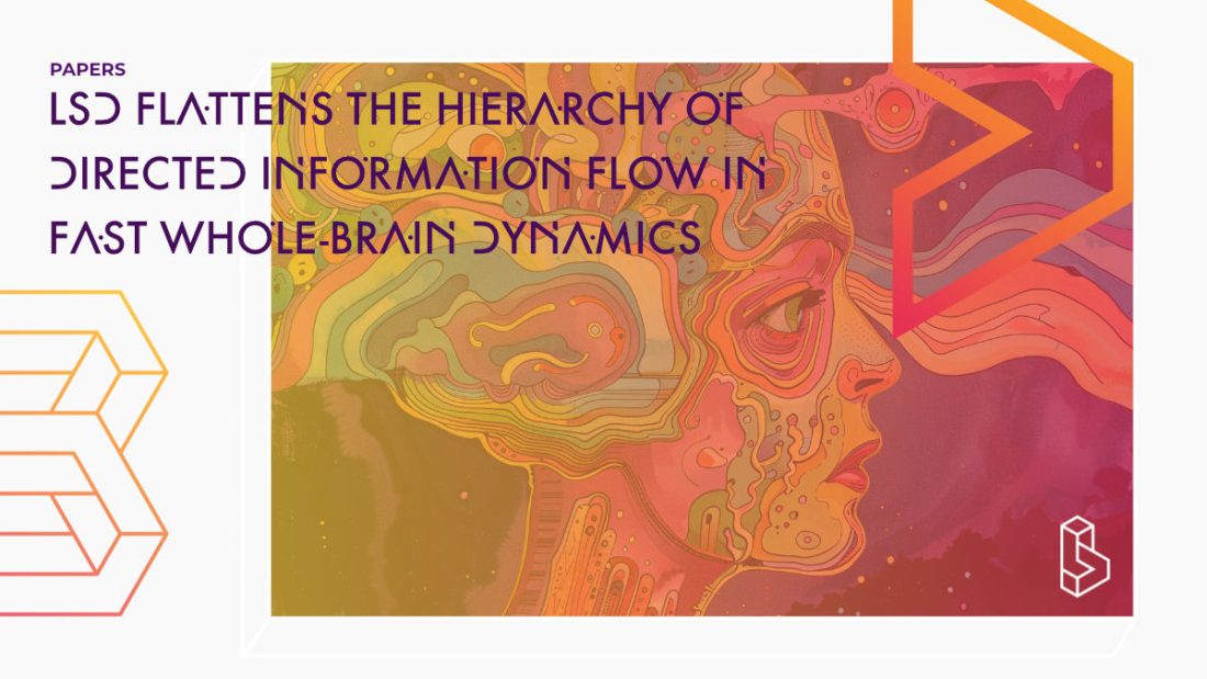 LSD flattens the hierarchy of directed information flow in fast whole ...