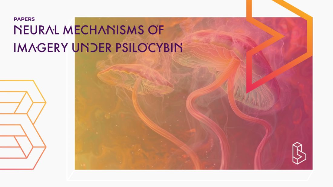 Neural mechanisms of psychedelic visual imagery