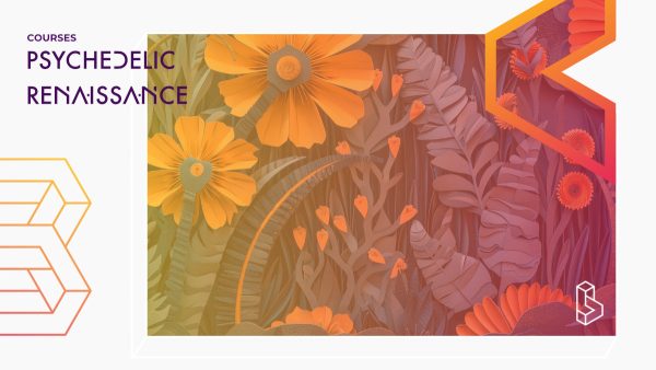 Psychedelic Renaissance