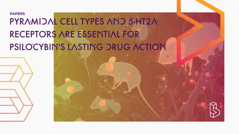 Psilocybin’s lasting action requires pyramidal cell types and 5-HT2A receptors
