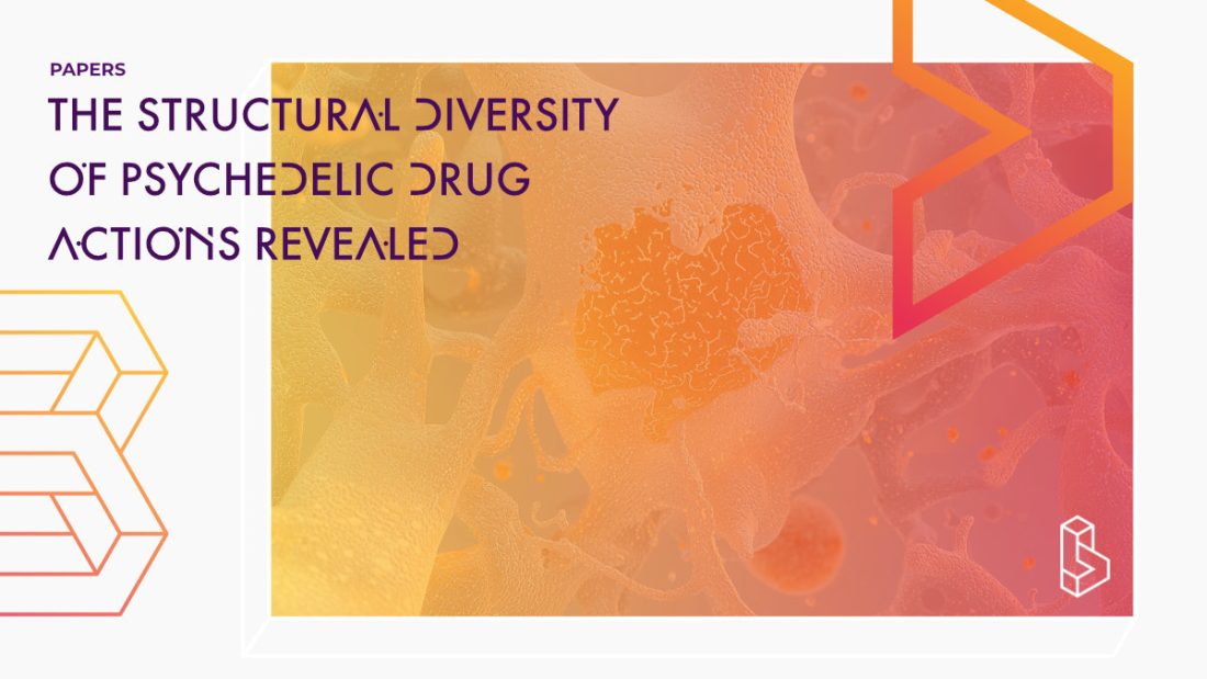 The structural diversity of psychedelic drug actions revealed