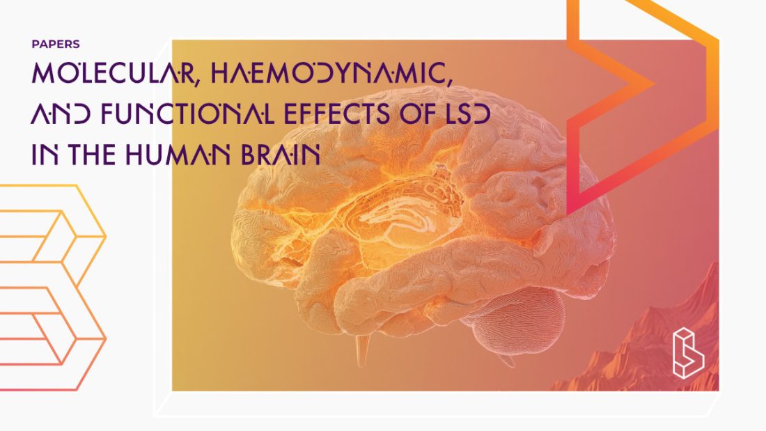 Molecular, haemodynamic, and functional effects of LSD in the human brain