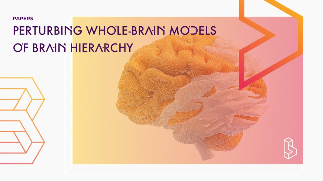 Perturbing whole-brain models of brain hierarchy: An application for ...